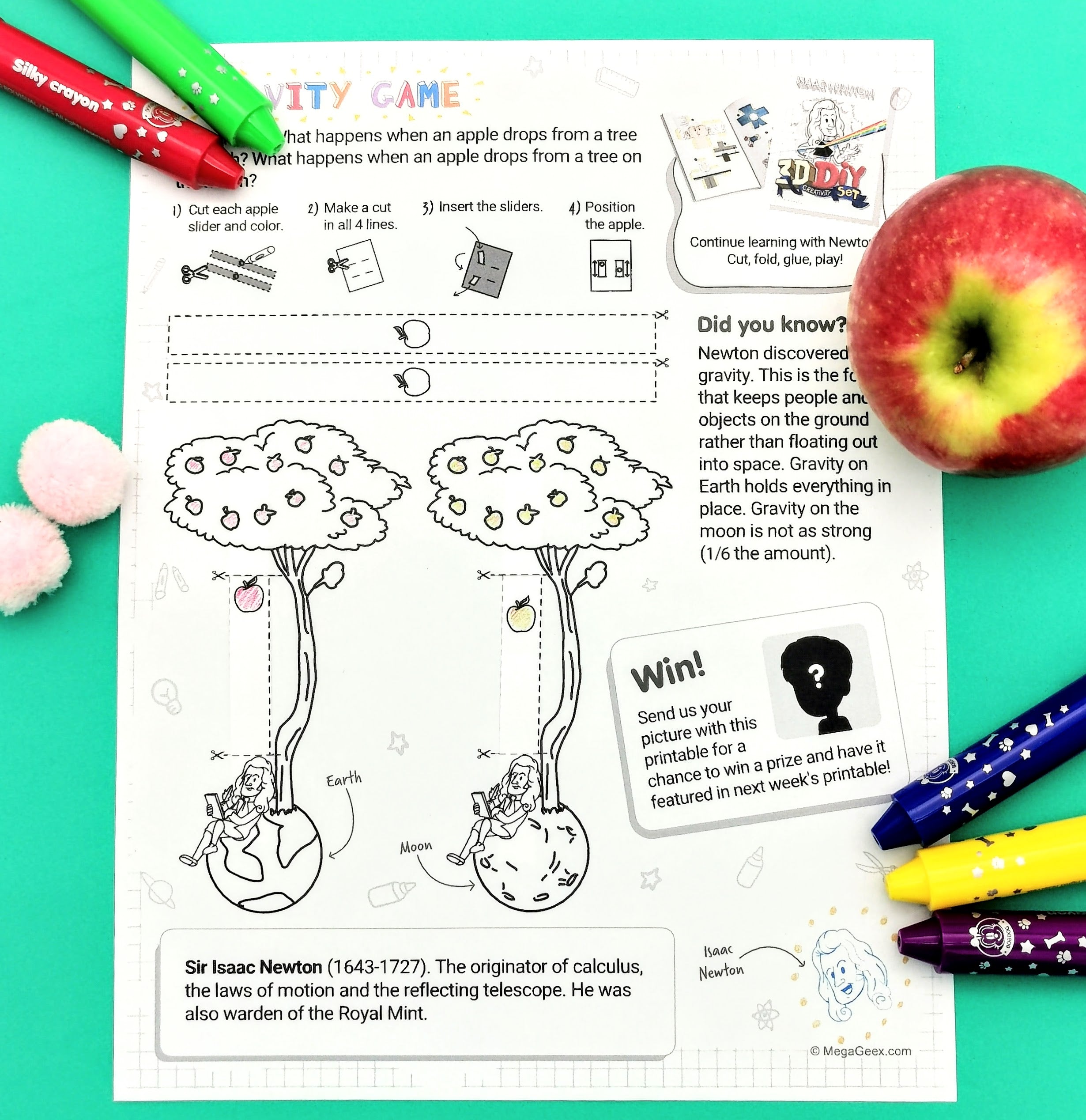 What Goes Up Must Come Down – MegaGeex